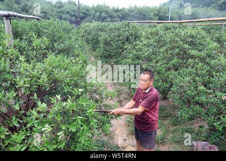 Heavy flooding in a village Stock Photo - Alamy