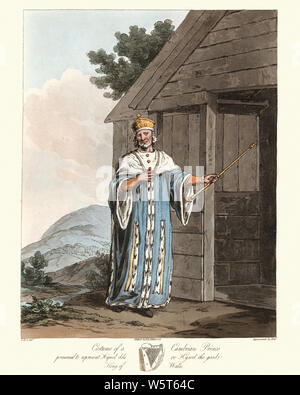 Hywel, Welsh Prince Stock Photo - Alamy