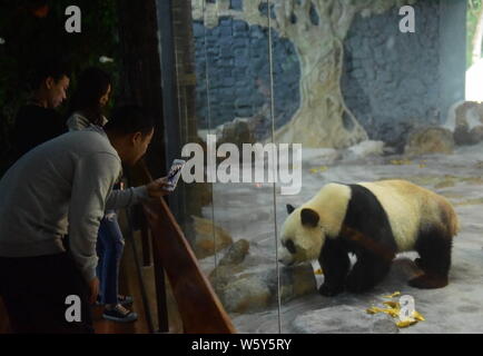 Hainan Tropical Wildlife Botanical Garden Stock Photo - Alamy