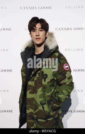 Hong Kong actor and singer Aarif Rahman, also known as Aarif Lee Chi ...