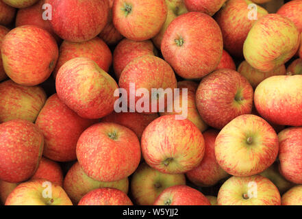 Apple 'Beauty of Bath', apples, variety, varieties, farm shop display ...