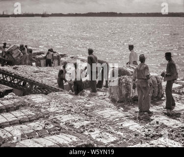 Moving service workers outdoors, unloading boxes and checking list ...