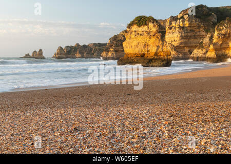 Portugal, Algarve. Sea shells at beach Praia das Conchas at Ilha ...
