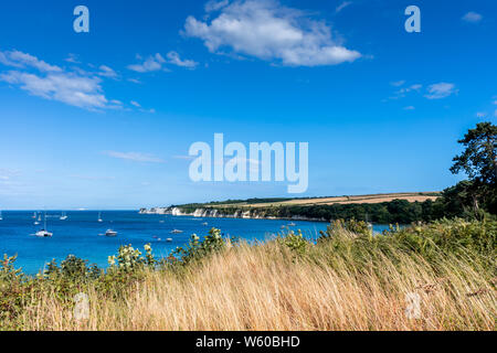 Studland Bay Nature Reserve, Isle of Purbeck, Dorset, UK Stock Photo ...