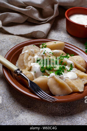 National Russian Ukrainian, Polish cuisine. Dish pickle soup with ...