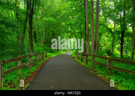 Rail trail along Quinnipiac River Gorge Trail, Meriden Linear Trail ...