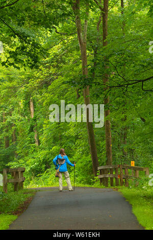 Rail trail along Quinnipiac River Gorge Trail, Meriden Linear Trail ...