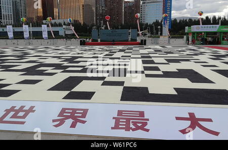 The world's largest QR code, 30 meters on each side, made of five tons ...