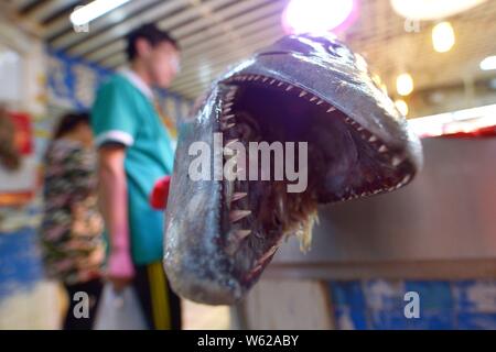 A giant Chinese seerfish is for sale at a seafood market in Qingdao ...