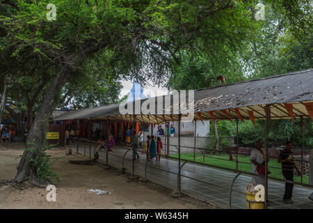 Sankat Mochan Hanuman Temple, Varanasi, Uttar Pradesh, India, Asia ...