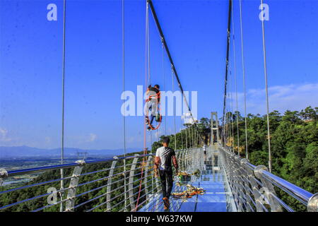 "Spider-Man" workers check on Guangdong's longest glass-bottomed bridge ...