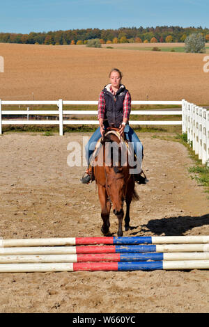 Horse Training, western horse, ground work, young horse, rails, rail ...