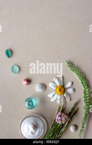 Jar of natural cream with chamomile flowers on white background Stock ...