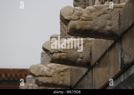 Rainwater flows from a dragon-shaped drainage gutter the Palace Museum ...