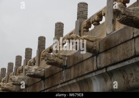 Rainwater flows from a dragon-shaped drainage gutter the Palace Museum ...