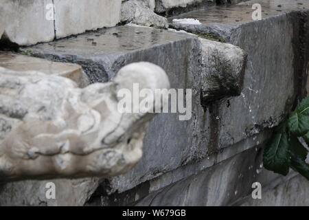 Rainwater flows from a dragon-shaped drainage gutter the Palace Museum ...