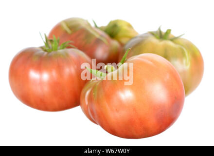 helium tomato on vine isolated on white background Stock Photo - Alamy