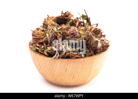 Dried Red Clover Flowers and Leaves Isolated on a White Background ...