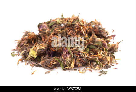 Dried Red Clover Flowers and Leaves Isolated on a White Background ...