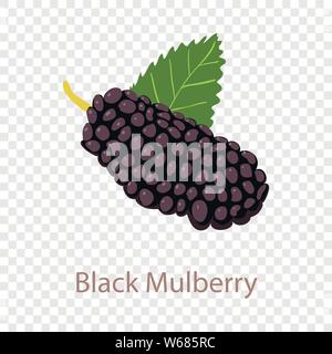 Black mulberry icon, isometric 3d style Stock Vector Image & Art - Alamy