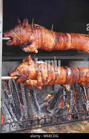 Two whole pigs roasting on a spit next to open flame, rotisserie or ...