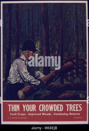 THIN YOUR CROWDED TREES Stock Photo - Alamy