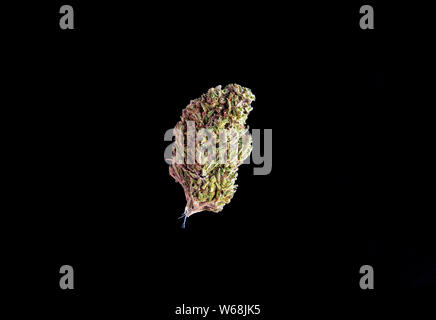 Close-up of marijuana against black background Stock Photo - Alamy
