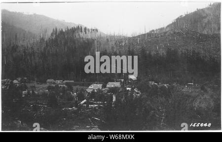 Town of Detroit, Oregon logged over section. Seed to Grasses, Santiam ...