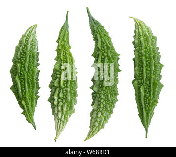 four organic bitter melon isolated on white background Stock Photo - Alamy