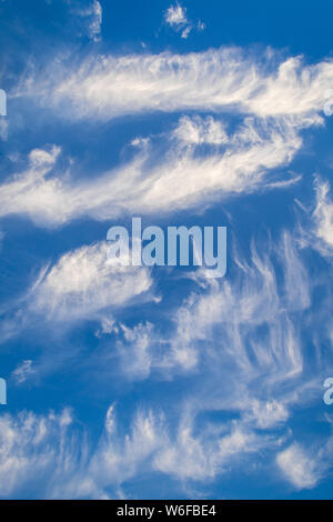 High cirrus clouds against the blue sky Stock Photo - Alamy