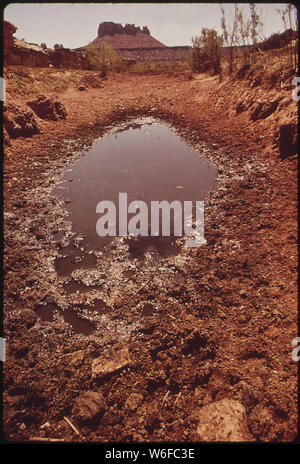 Big Water Spring is the only water source for a vast region west of the ...