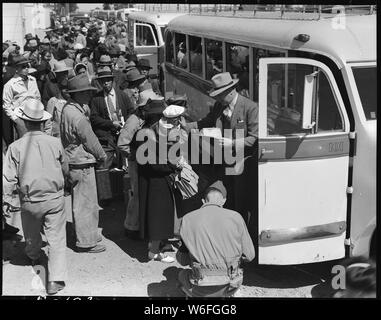 Byron, California. Farm families of Japanese ancestry boarding buses ...