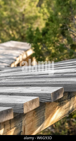 Green wooden bridge surrounded by trees leading to a building Stock ...