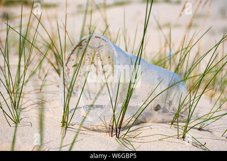 Disposable plastic cup discarded on forest ground ecosystem ...