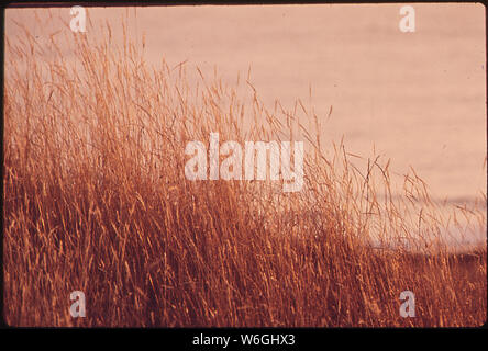 FILL LAND FOR SALE AT PONY SLOUGH 069 Stock Photo - Alamy