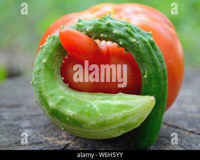 Close up of deformed vegetable, curled cucumber Stock Photo - Alamy