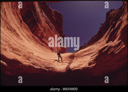 IN THE MAZE, A WILD AREA IN THE WESTERN PART OF THE PARK HIKERS MUST ...