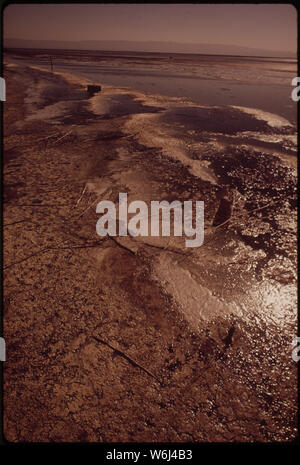 LESLIE SALT PONDS Stock Photo - Alamy