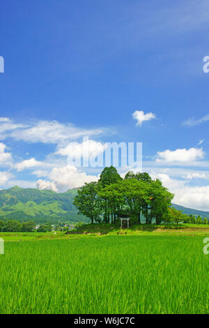 Chugou Tenmangu, Minamiaso village Stock Photo - Alamy
