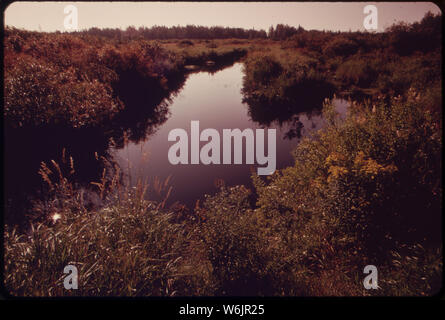 ONE OF THE MANY SWAMPS OF NORTHEASTERN WISCONSIN THAT CONTRIBUTE TO THE ...