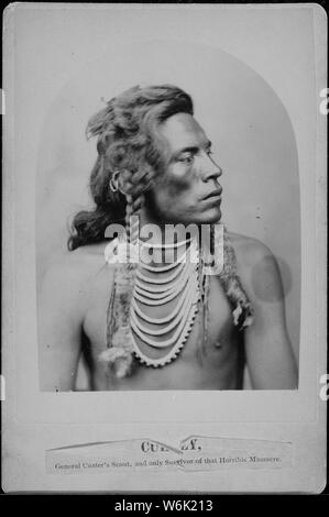 Portrait of Curley, A Crow Indian Scout with the Seventh Cavalry at the ...