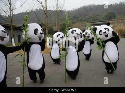 Feeders bid farewell to giant panda Tai Shan at the National Zoo in ...