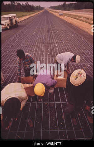 STEEL RODS, MADE FROM SHREDDED AUTOS, ARE BEING USED FOR REINFORCEMENT ...