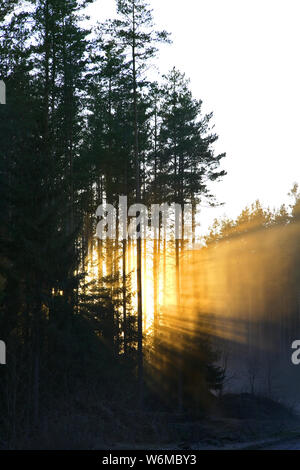 Landscape near Toropets. Tver Oblast. Russia Stock Photo - Alamy