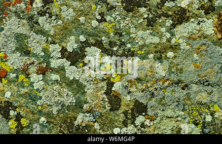 Mongolian Structure of surface of the stone,, large stone pattern Stock ...