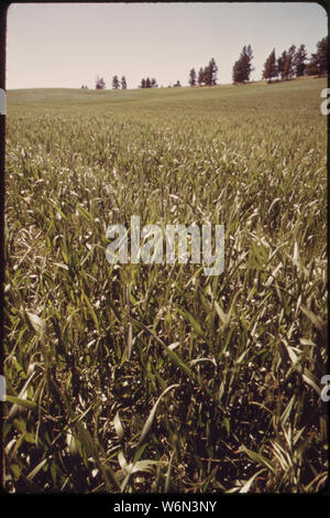 The Redding Ranch in Sarpy Basin, located near the Westmoreland Coal ...