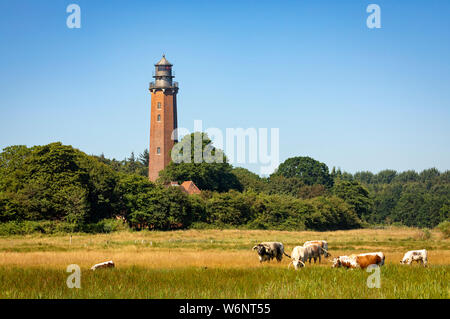 Neuland lighthouse at Behrensdorf Stock Photo - Alamy