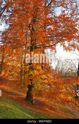Frydek-Mistek. Czech Republic Stock Photo - Alamy