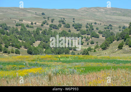 Hissar mountains, Pamir-Alay range, southeastern Uzbekistan Stock Photo ...