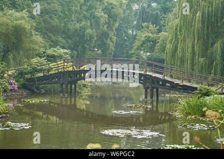 Green Botanical Gardens of Wroclaw after warm summer rain Stock Photo ...